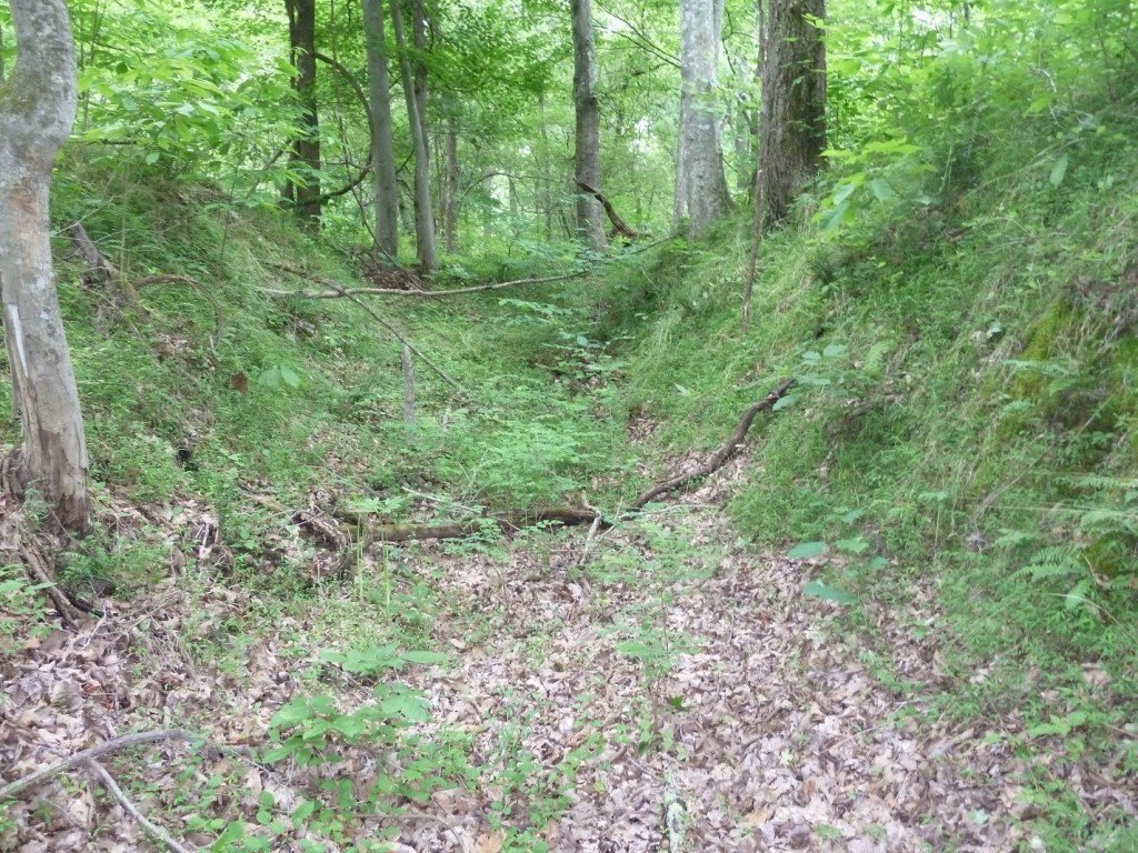 Silage Trenches on Historic Farm Sites - Archaeology Review