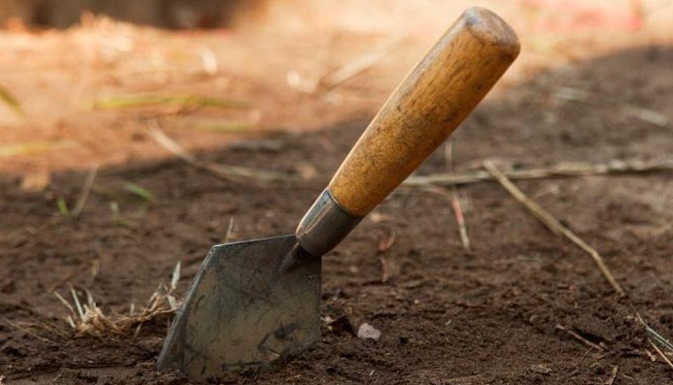 Real Archaeology: How is it Done? - Archaeology Review